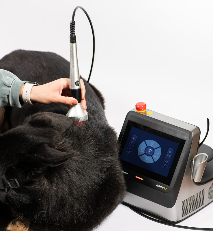 Multi Radiance Veterinary: Class 4 ALPHAVET, Super Pulsed ACTIVet PRO Series & Take Home Pet ...